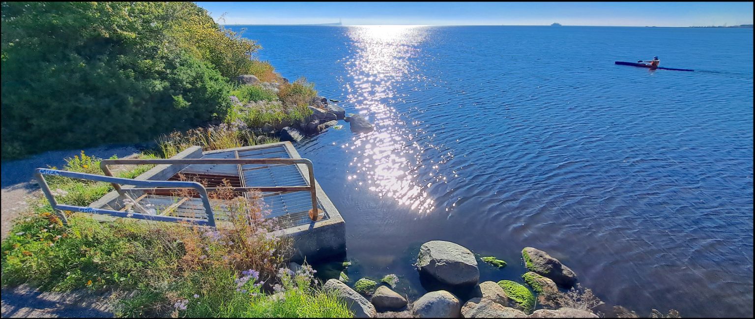 PFAS-forurening af Øresund. – Nej til Copenhagen White Water Park